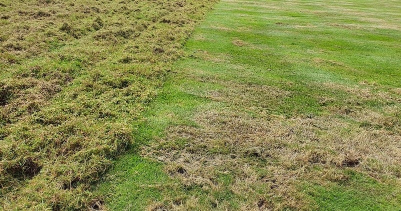 How To Choose A Lawn Scarifier or Lawn Raker - The Perfect Garden