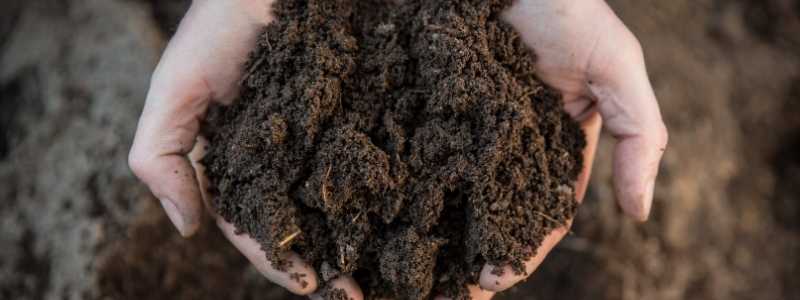 How Much Does Compost Weigh